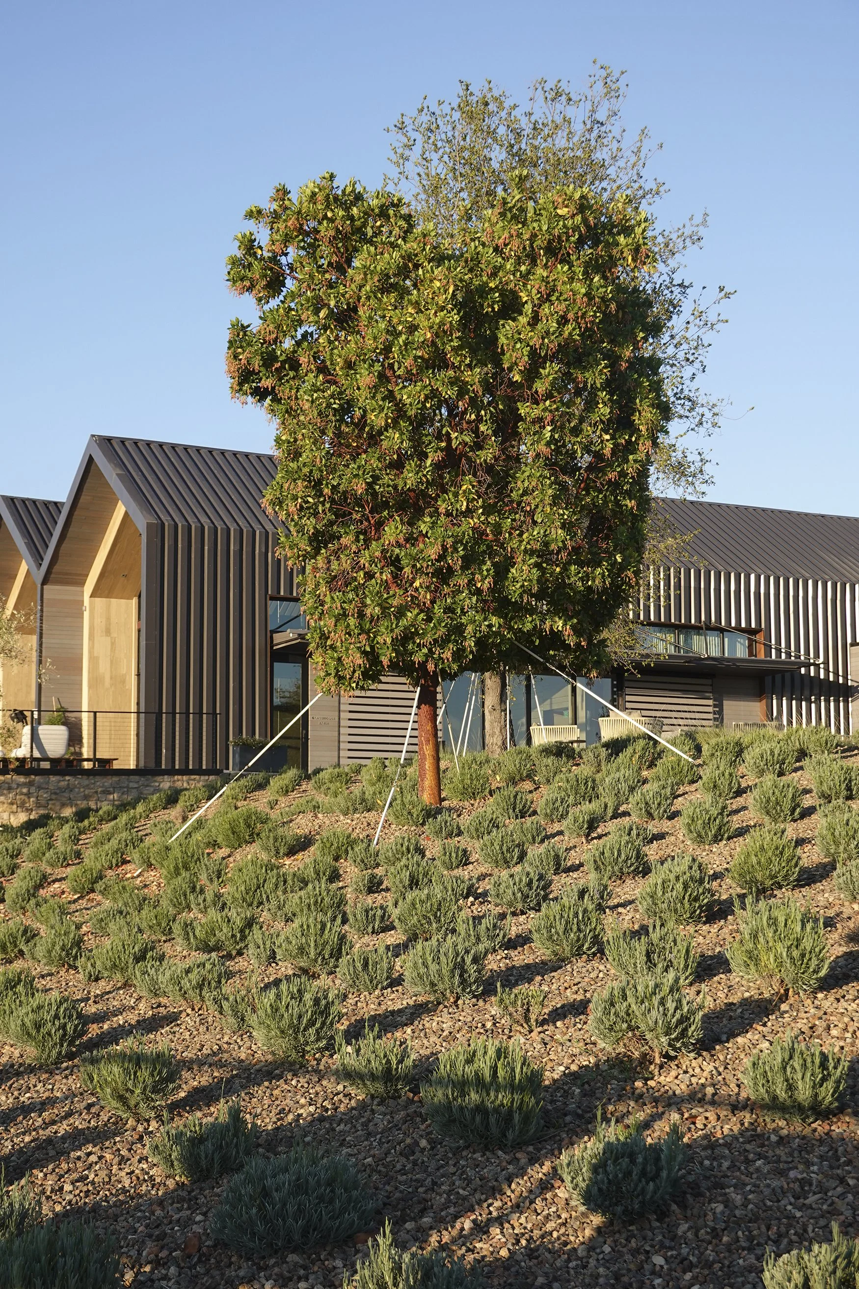 NJ IN LA | Indulging in Excellence: Dinner at Bear at Stanly Ranch, One ...