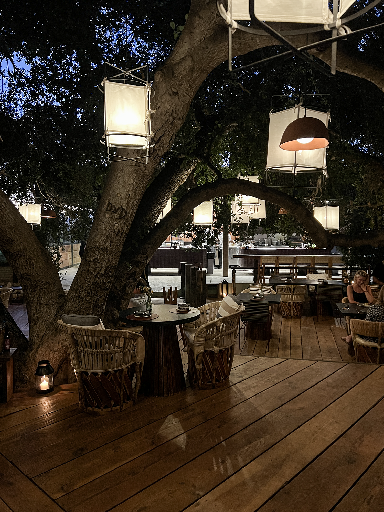 NJ IN LA | Under the Oak Tree: Dining at Animalón in Valle de Guadalupe