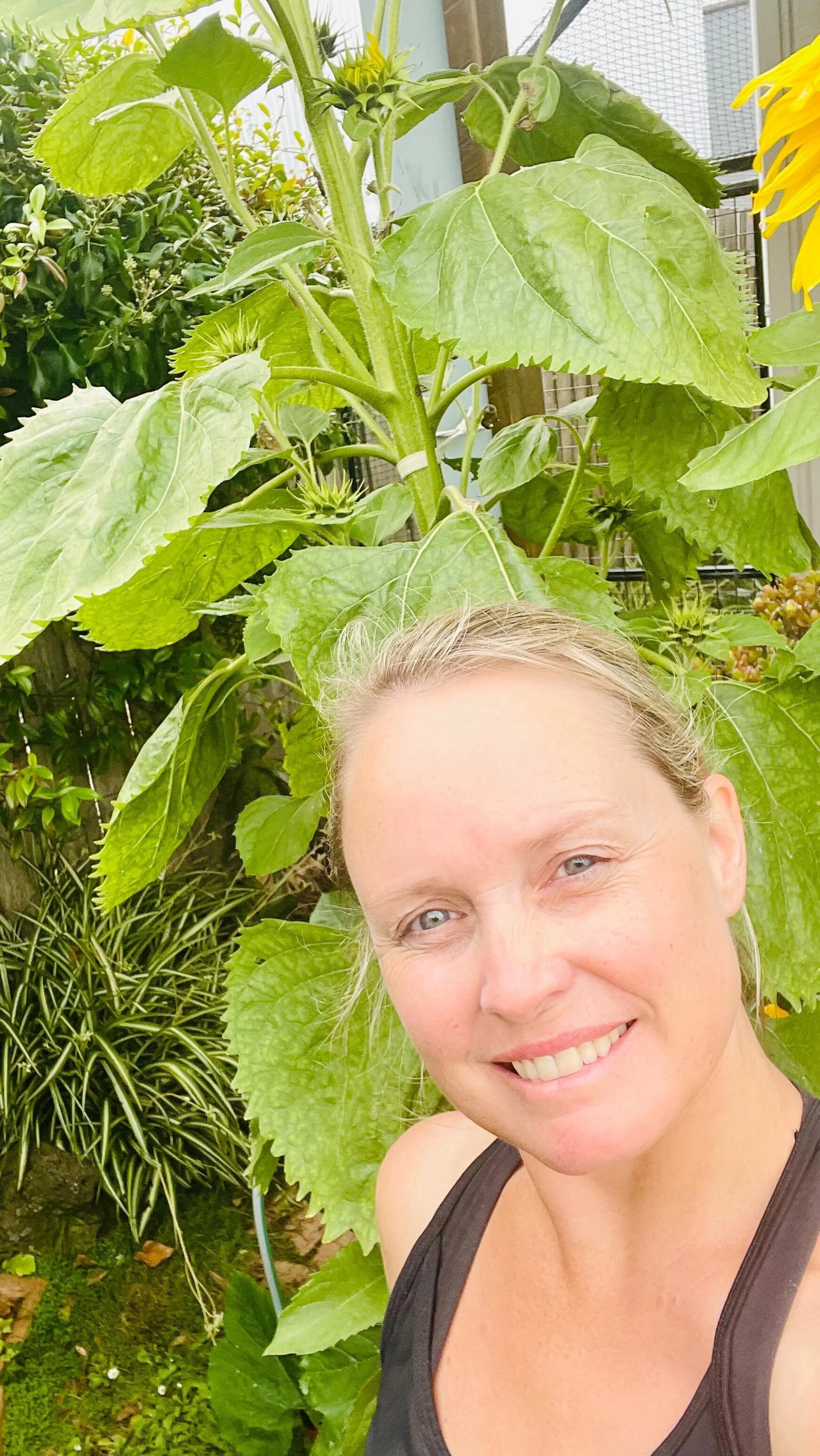 Exploring the power of Qi Healing — Nicole Lee Qigong