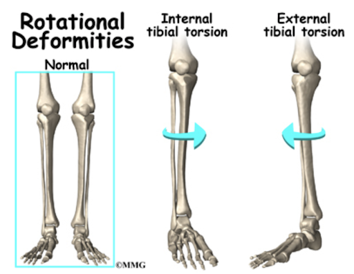 Jannali Physiotherapy & Sports Injury Clinic