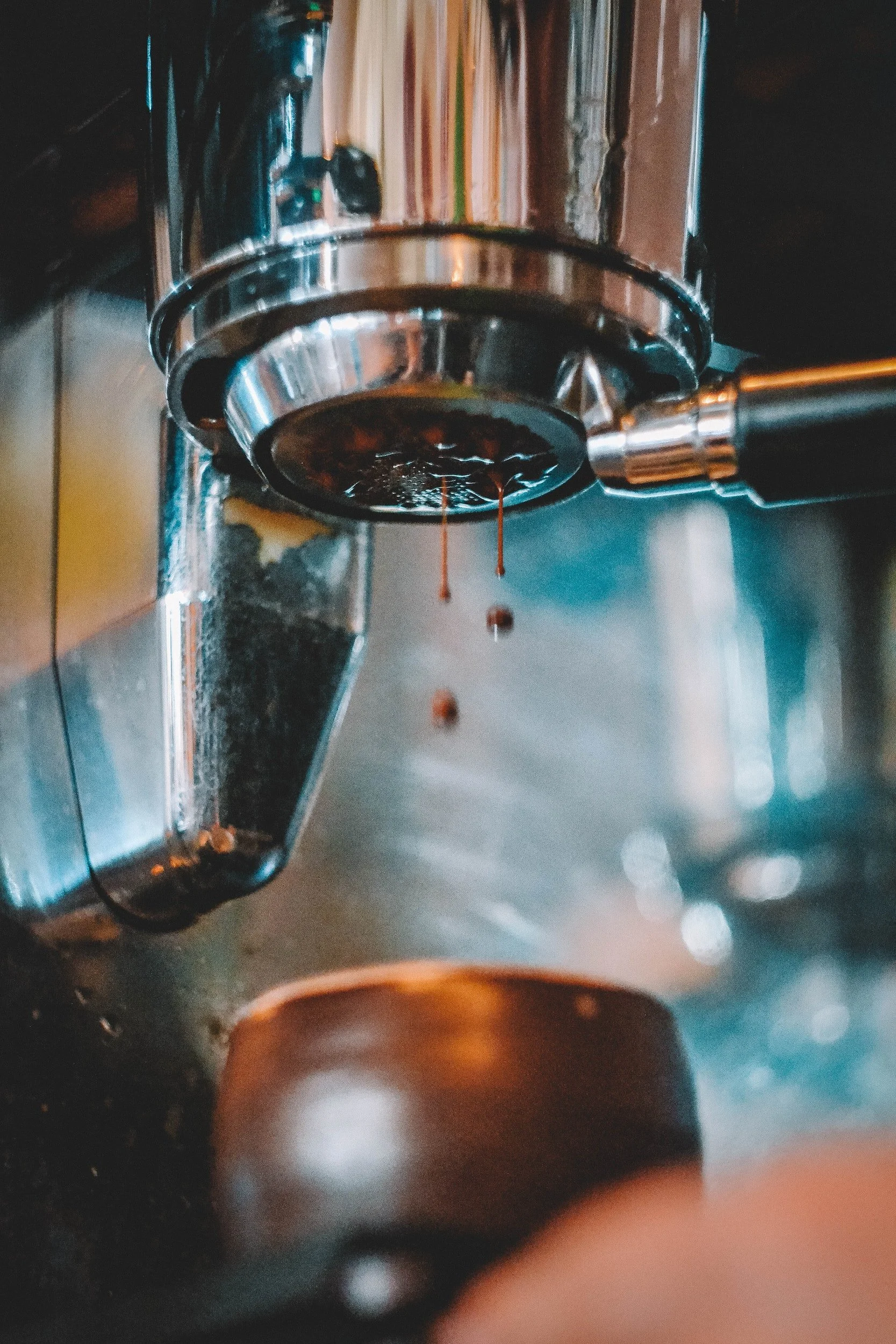 The Magnolia Coffee Co.