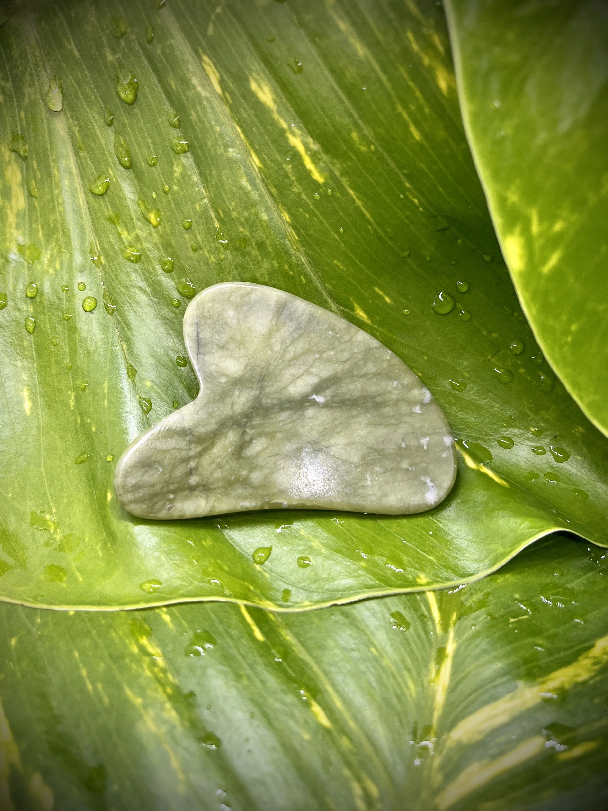 Gua Sha — Kahuna Products Hawai'i