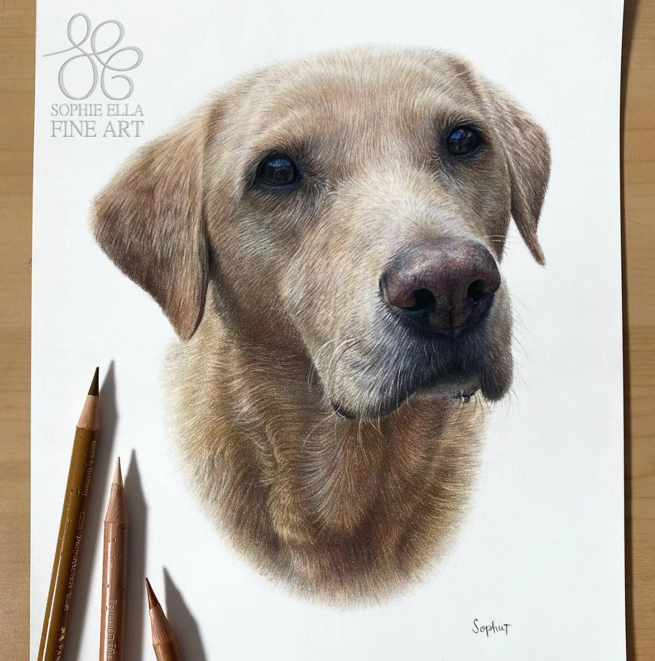 Popular pet names | Pet Portraits and Wildlife Art Sophie Ella Fine Art ...