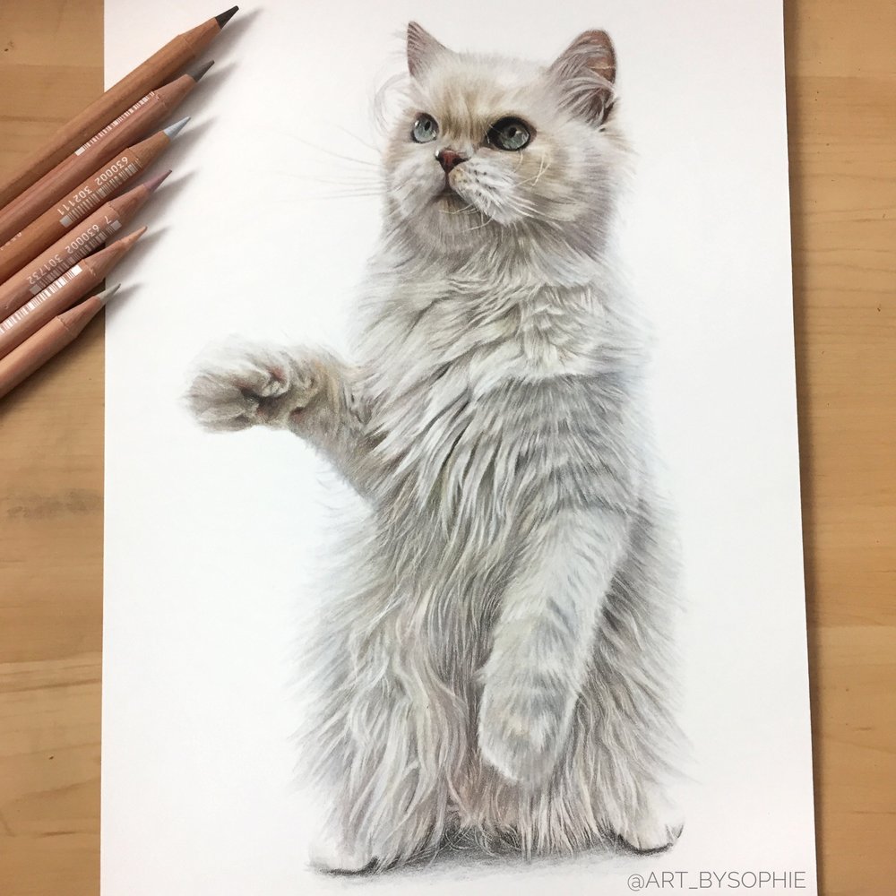 Incredibly Realistic Cat Pet Portraits from Photos | Sophie Ella Fine ...