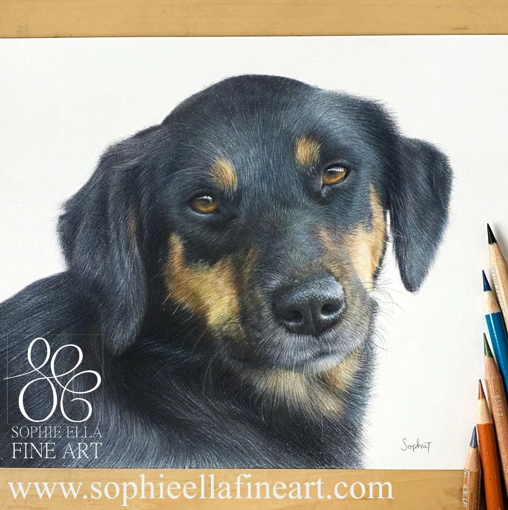 The History of Pet Art | Sophie Ella Fine Art | Pet Portrait and ...