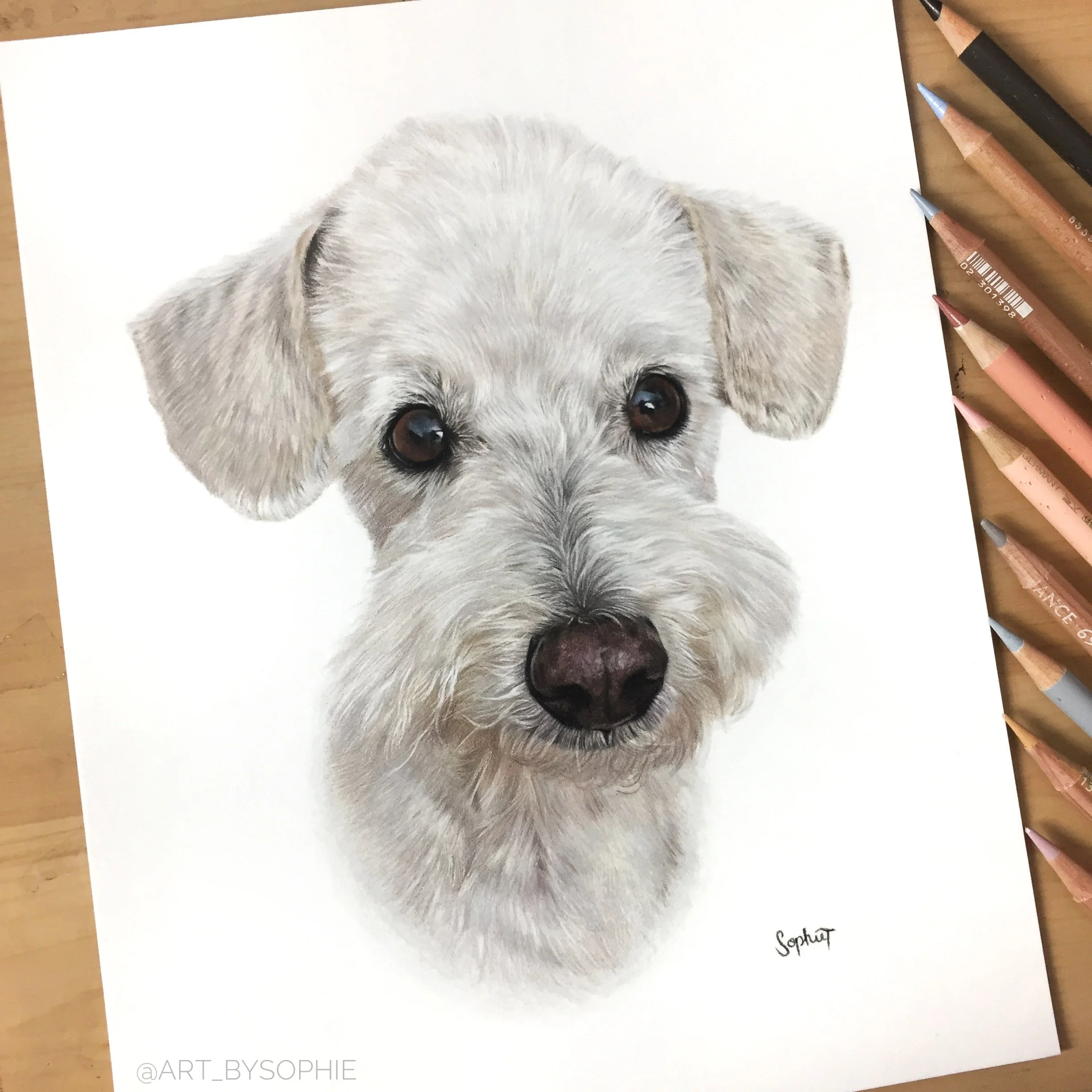 Incredibly Realistic Dog Pet Portraits from Photos | Sophie Ella Fine ...