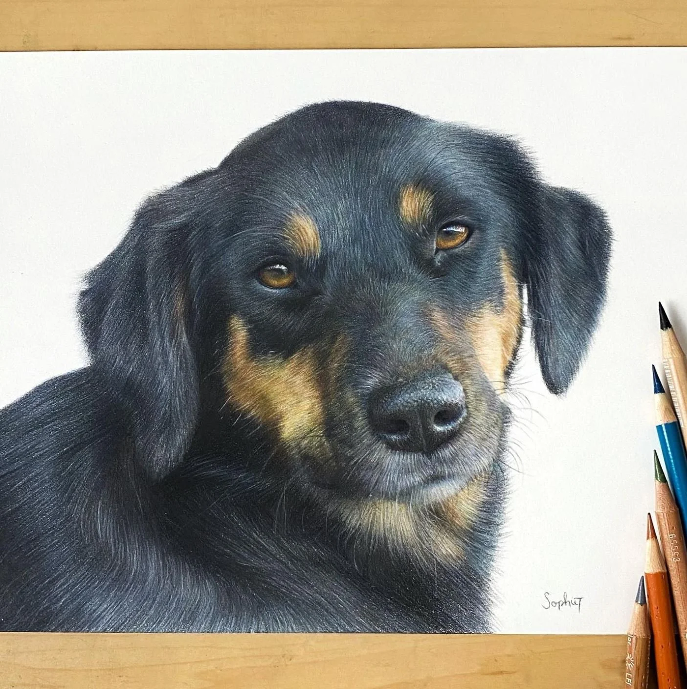 Incredibly Realistic Dog Pet Portraits from Photos | Sophie Ella Fine ...