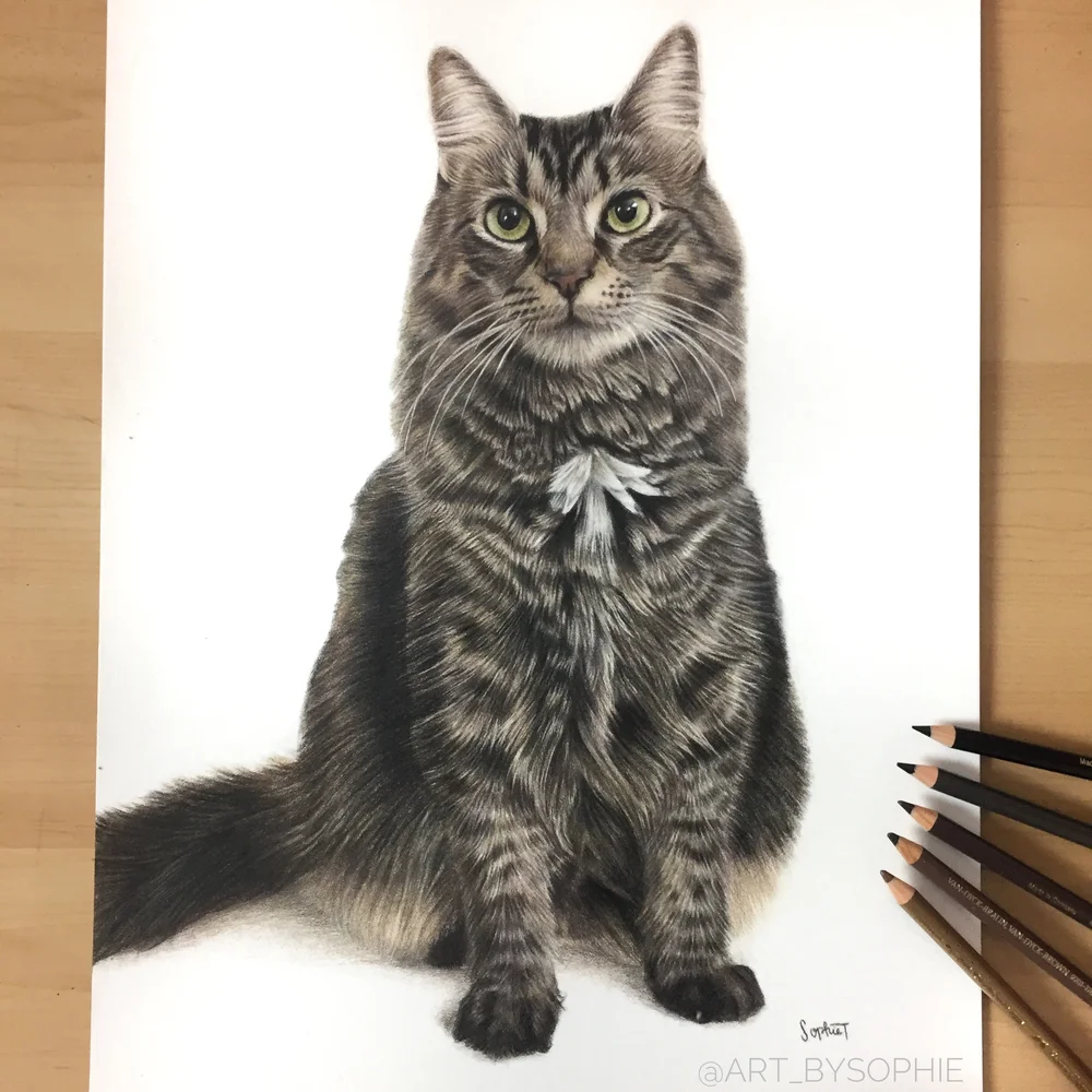 Incredibly Realistic Cat Pet Portraits from Photos | Sophie Ella Fine ...