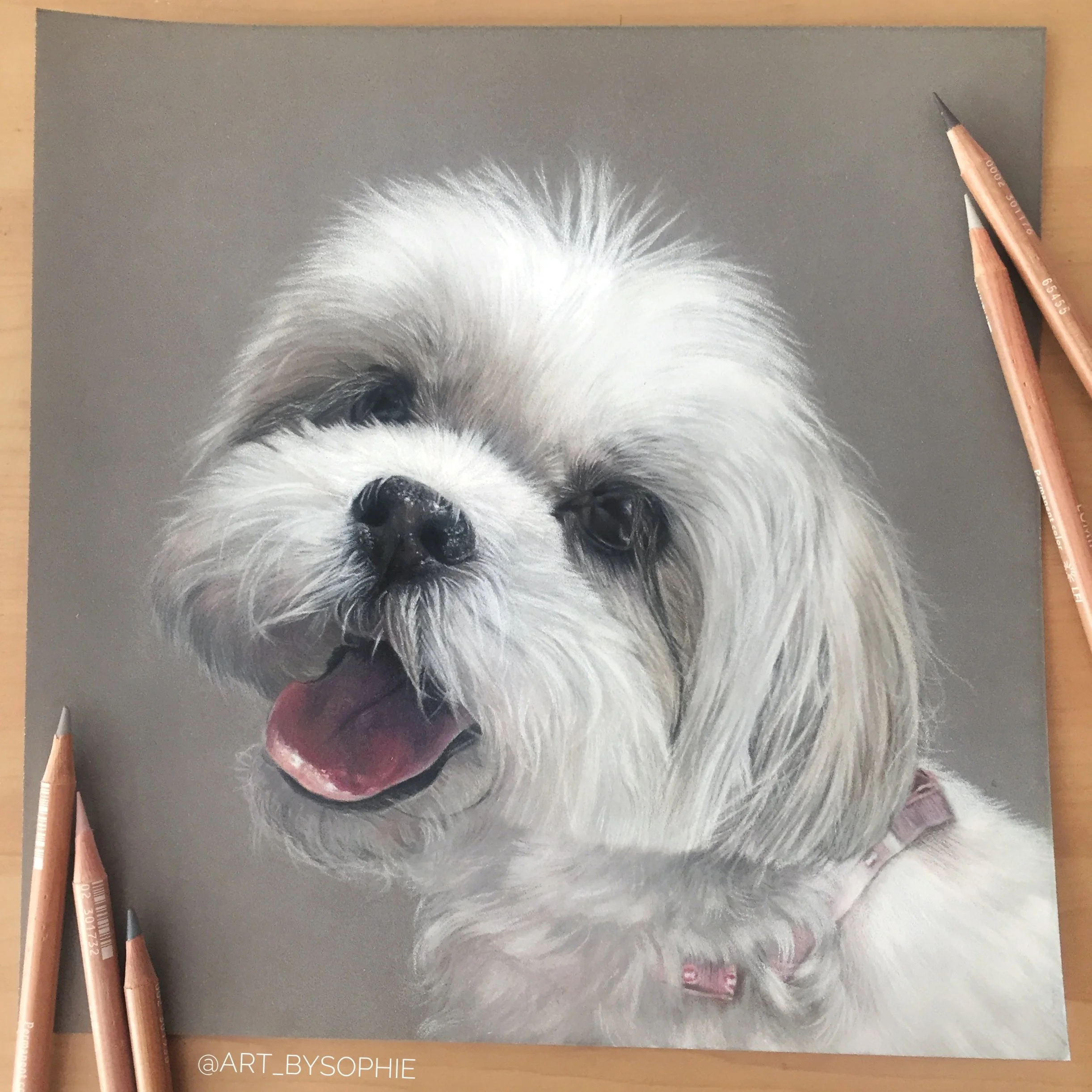 Incredibly Realistic Dog Pet Portraits from Photos | Sophie Ella Fine ...