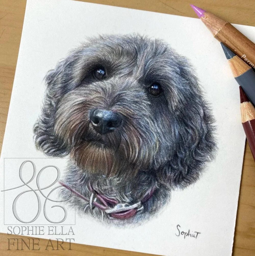 Mini portraits | Sophie Ella Fine Art | Pet Portrait and Wildlife Artist