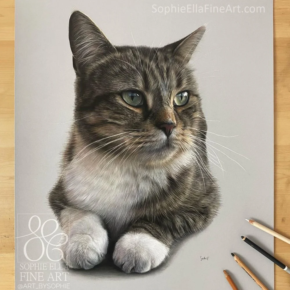 Incredibly Realistic Cat Pet Portraits from Photos | Sophie Ella Fine ...