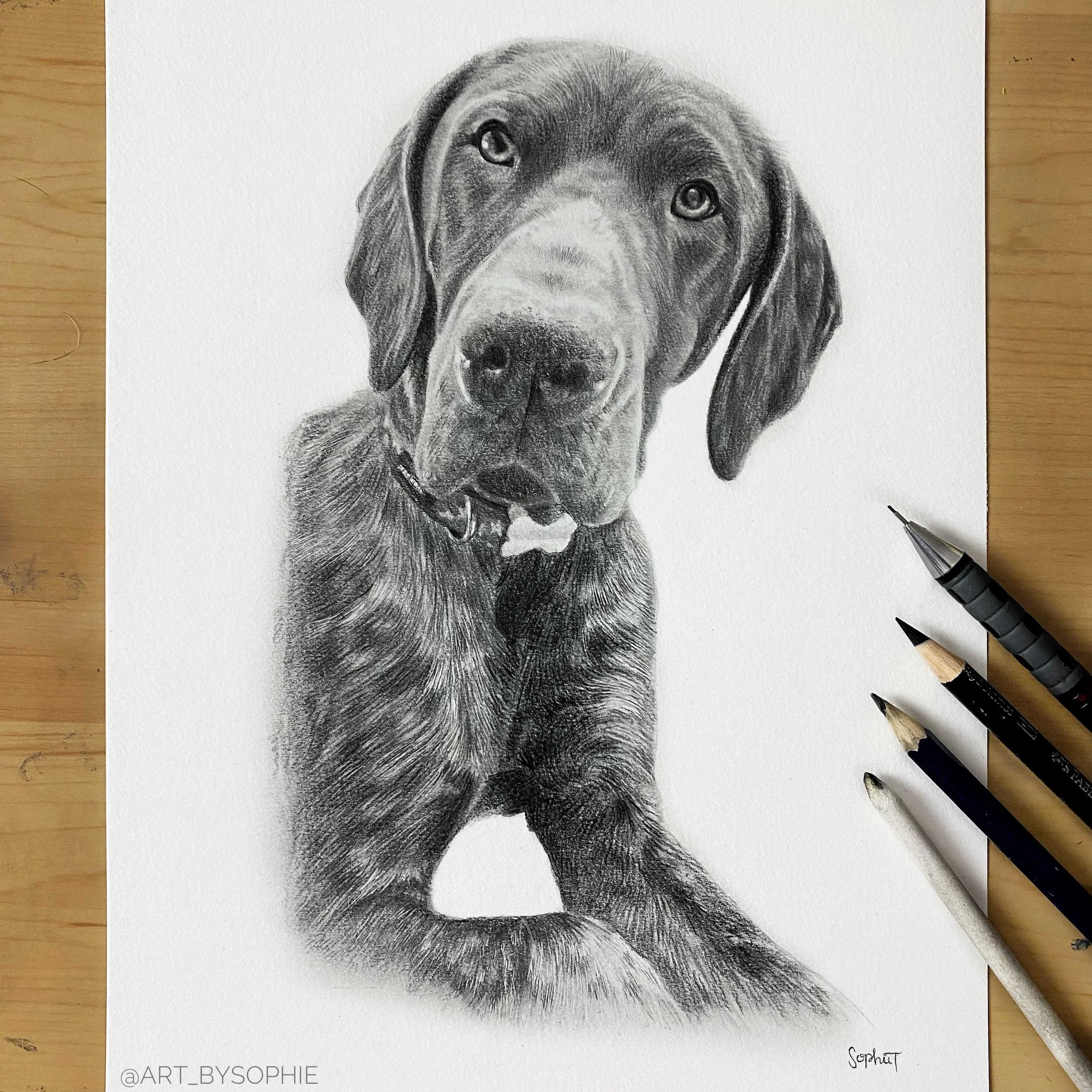 Incredibly Realistic Dog Pet Portraits from Photos | Sophie Ella Fine ...