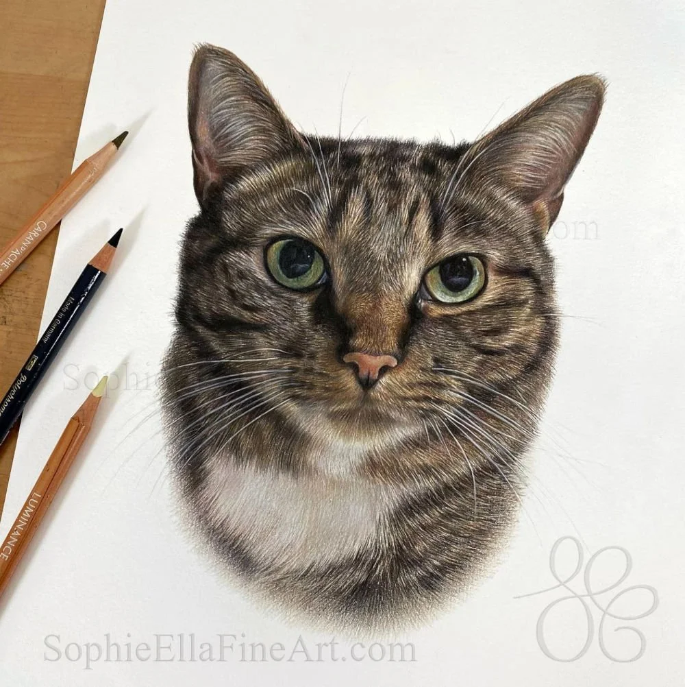 Incredibly Realistic Cat Pet Portraits from Photos | Sophie Ella Fine ...