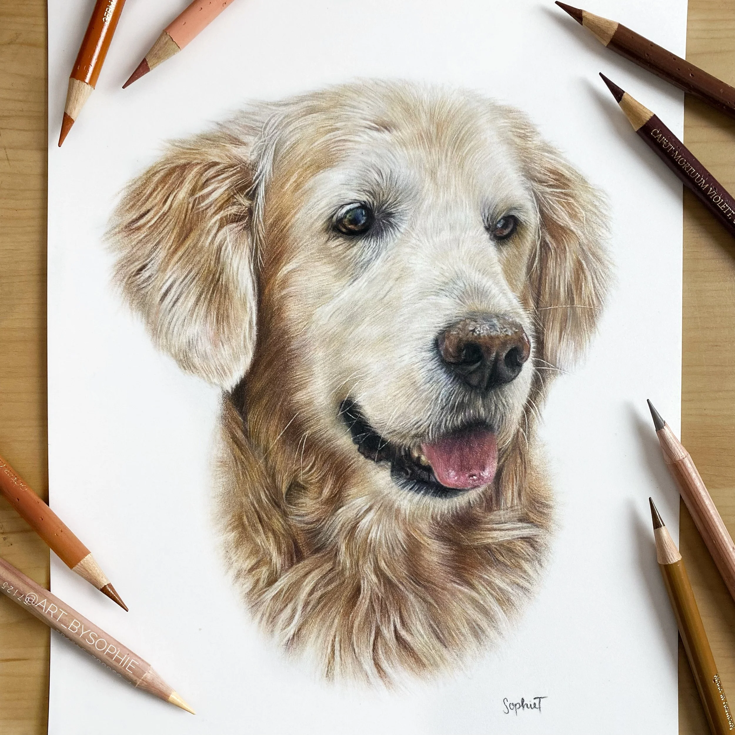 Incredibly Realistic Dog Pet Portraits from Photos | Sophie Ella Fine ...