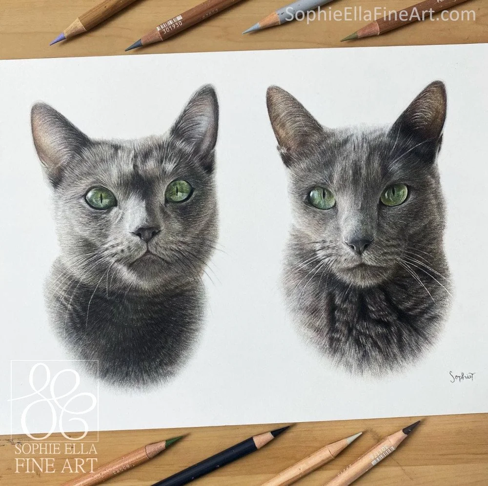 Incredibly Realistic Cat Pet Portraits from Photos | Sophie Ella Fine ...