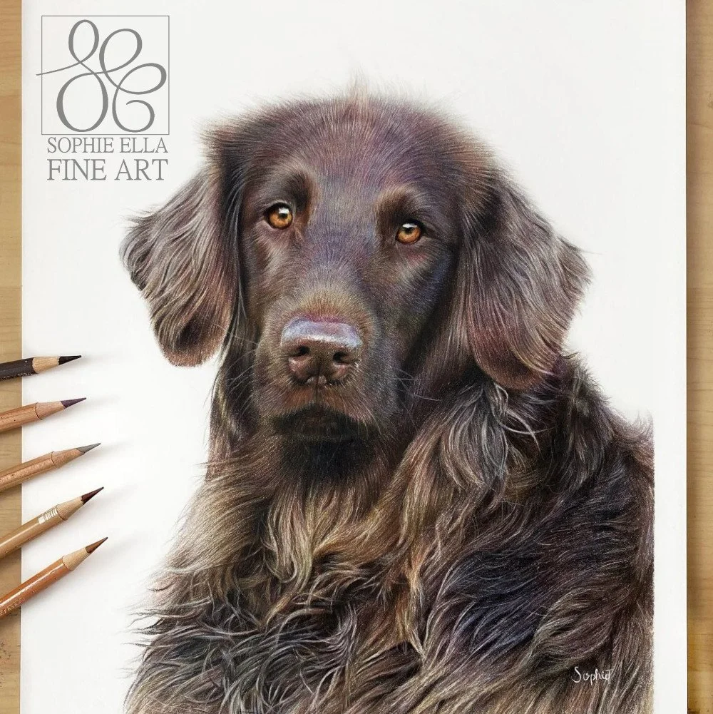 Incredibly Realistic Dog Pet Portraits from Photos | Sophie Ella Fine ...