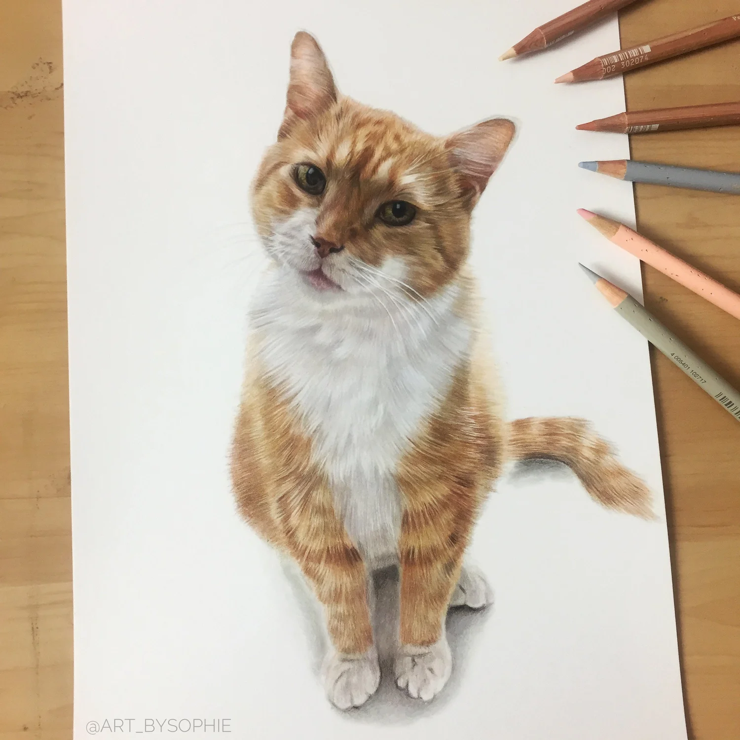 Incredibly Realistic Cat Pet Portraits from Photos | Sophie Ella Fine ...