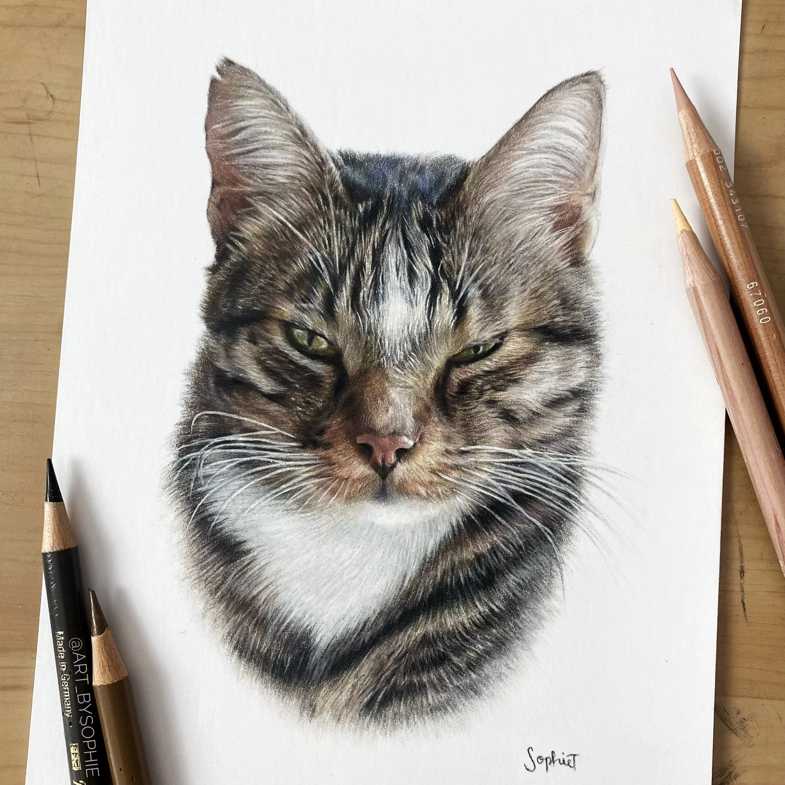 Incredibly Realistic Cat Pet Portraits from Photos | Sophie Ella Fine ...