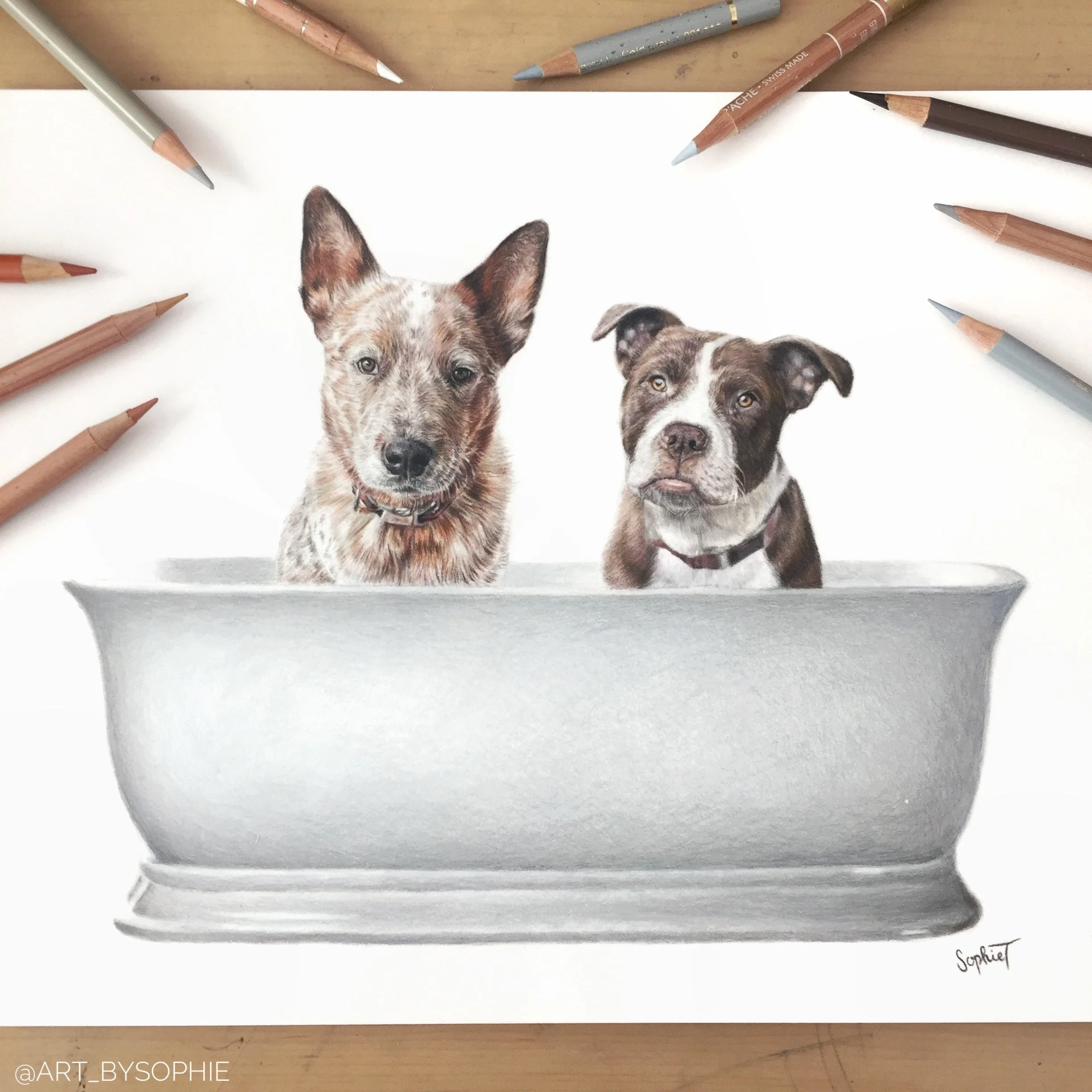 My top 10 reasons to commission a pet portrait | Pet Portraits and ...