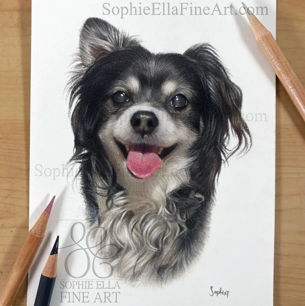 Incredibly Realistic Dog Pet Portraits from Photos | Sophie Ella Fine ...