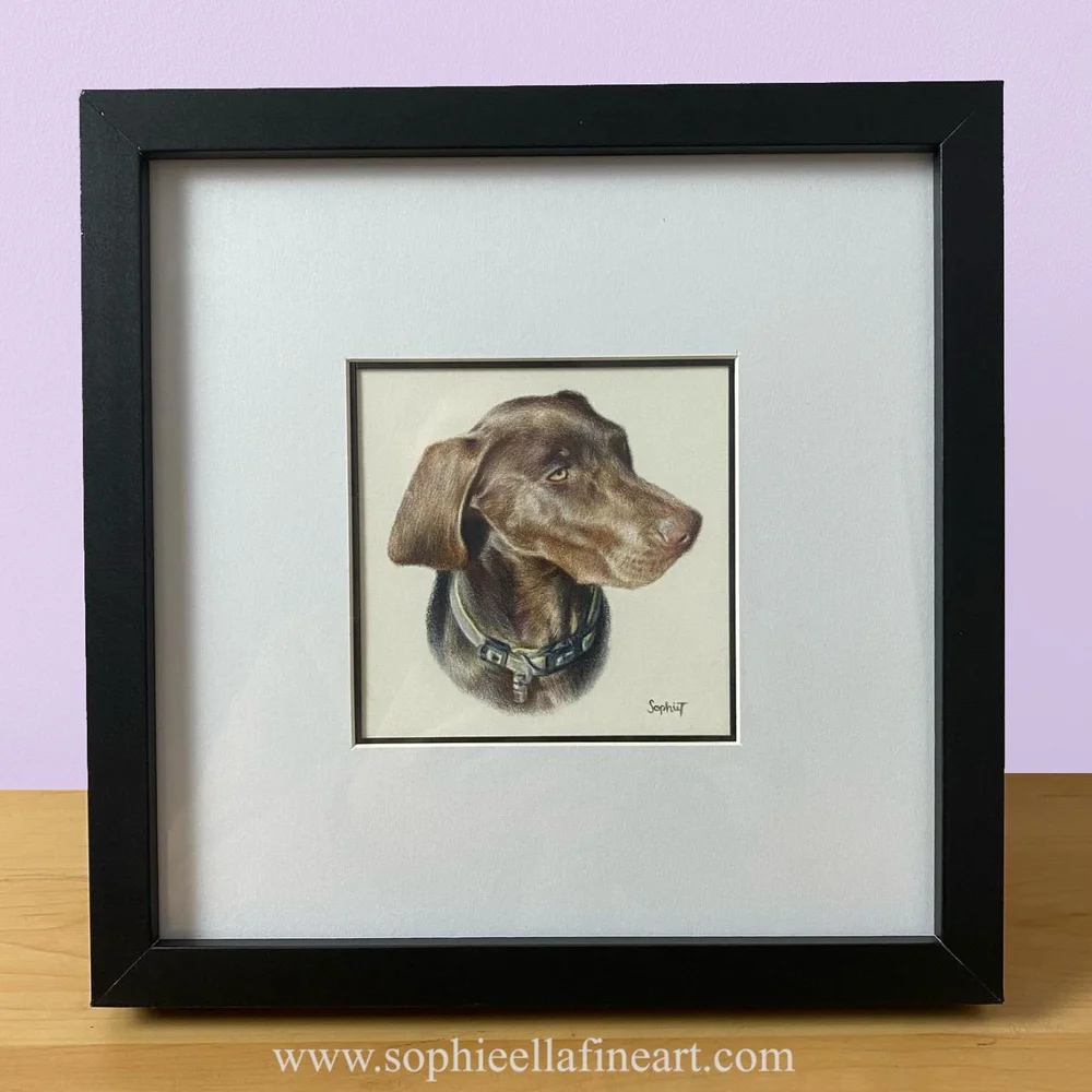 Mini portraits | Sophie Ella Fine Art | Pet Portrait and Wildlife Artist