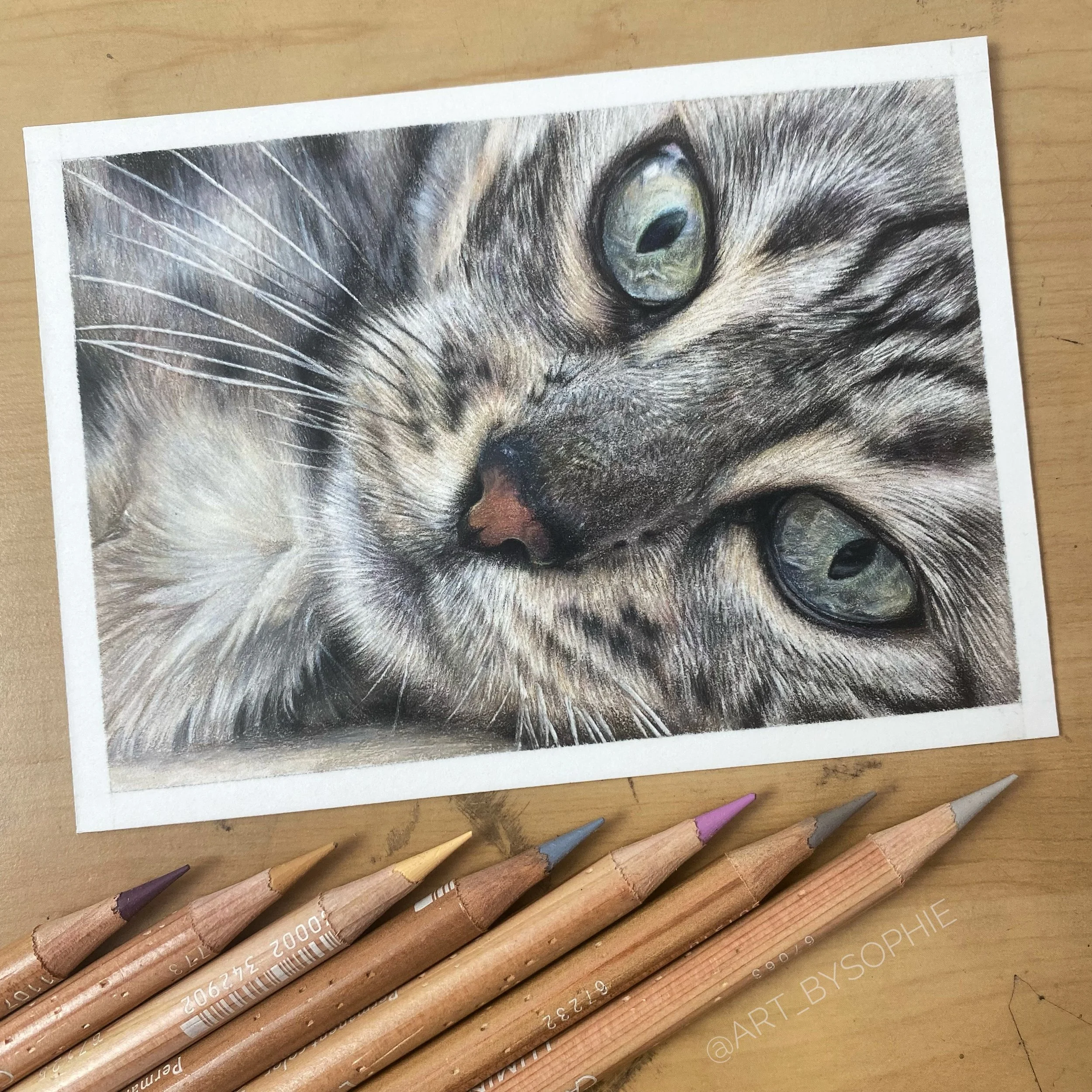 Incredibly Realistic Cat Pet Portraits from Photos | Sophie Ella Fine ...