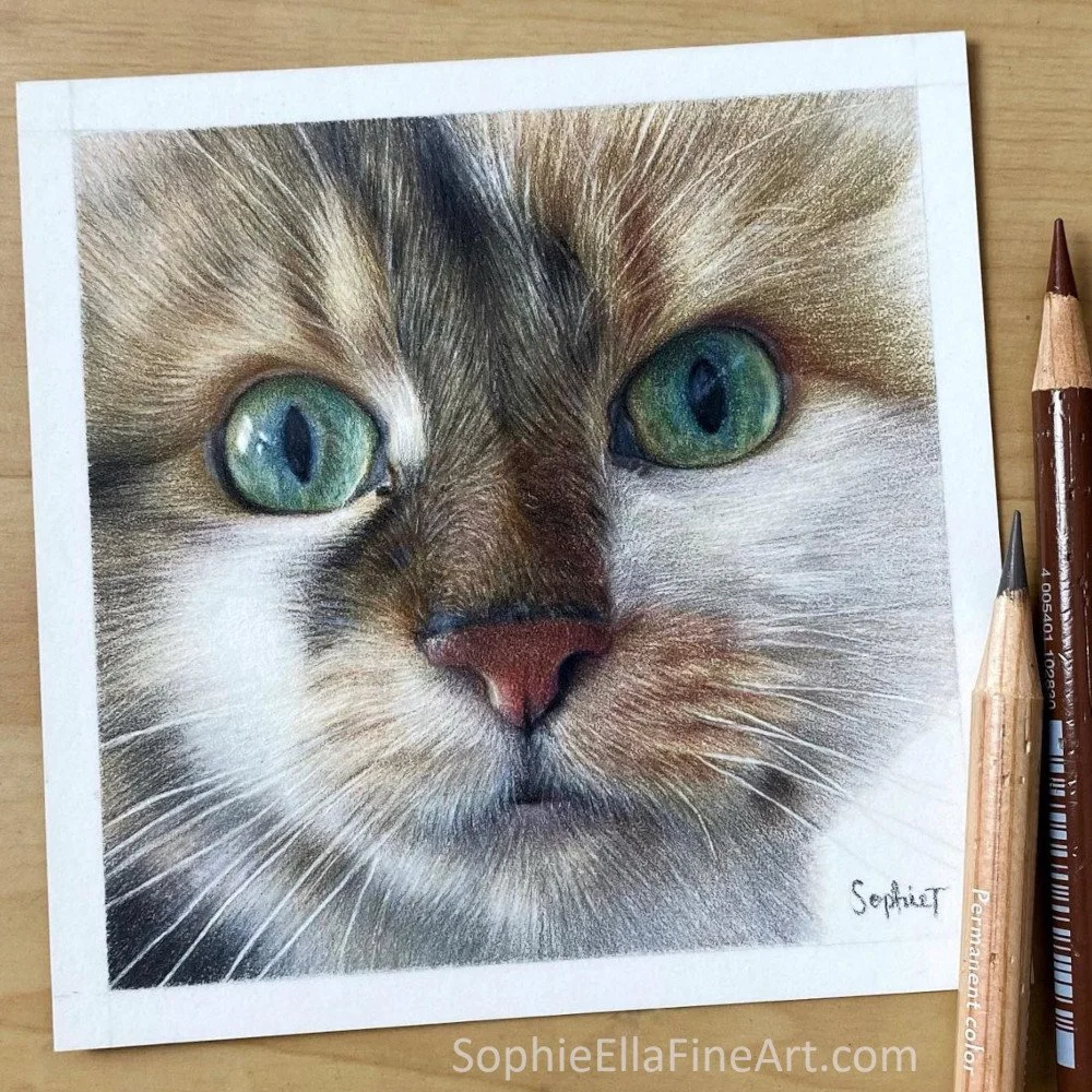 Incredibly Realistic Cat Pet Portraits from Photos | Sophie Ella Fine Art | Pet Portrait and ...