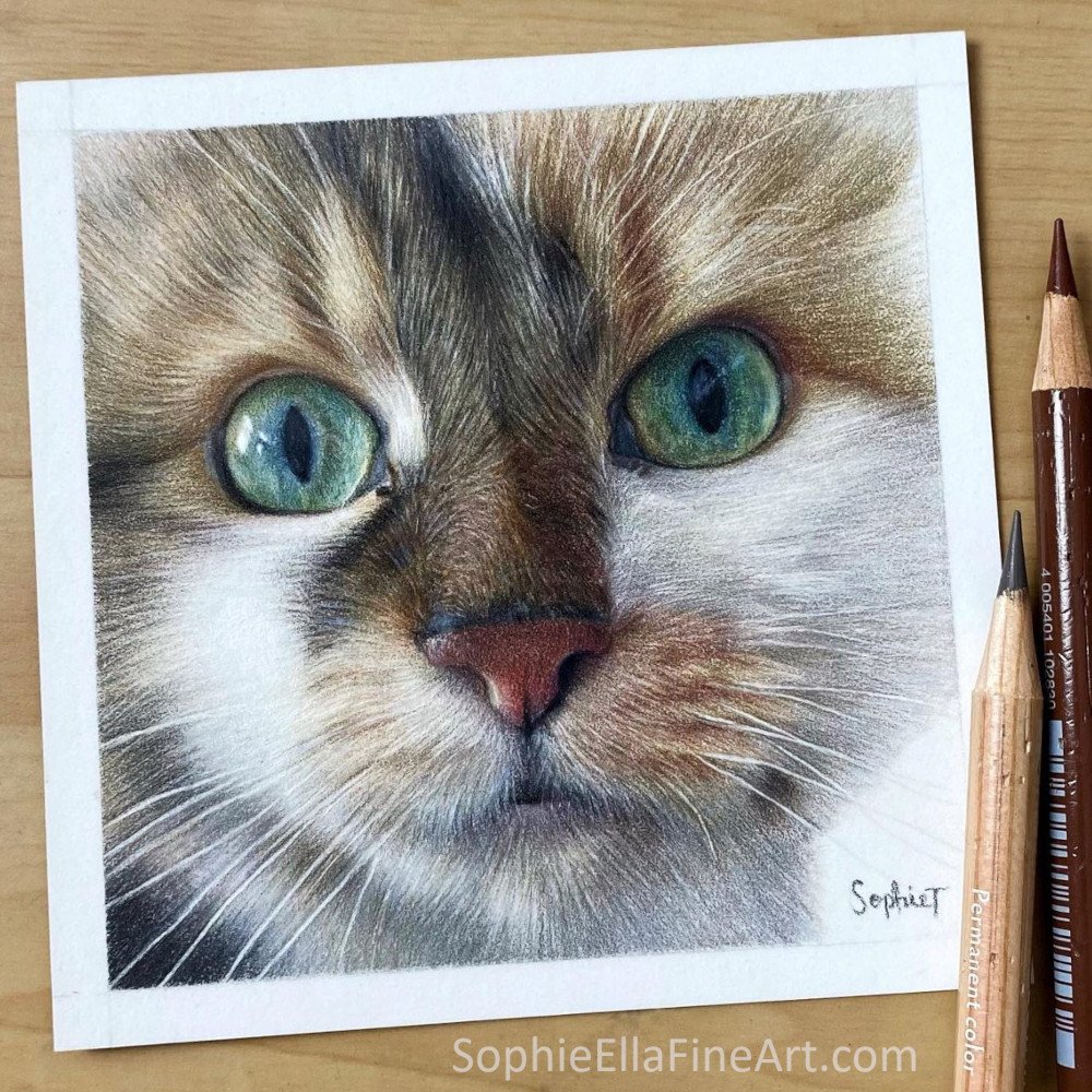 Incredibly Realistic Cat Pet Portraits from Photos | Sophie Ella Fine ...
