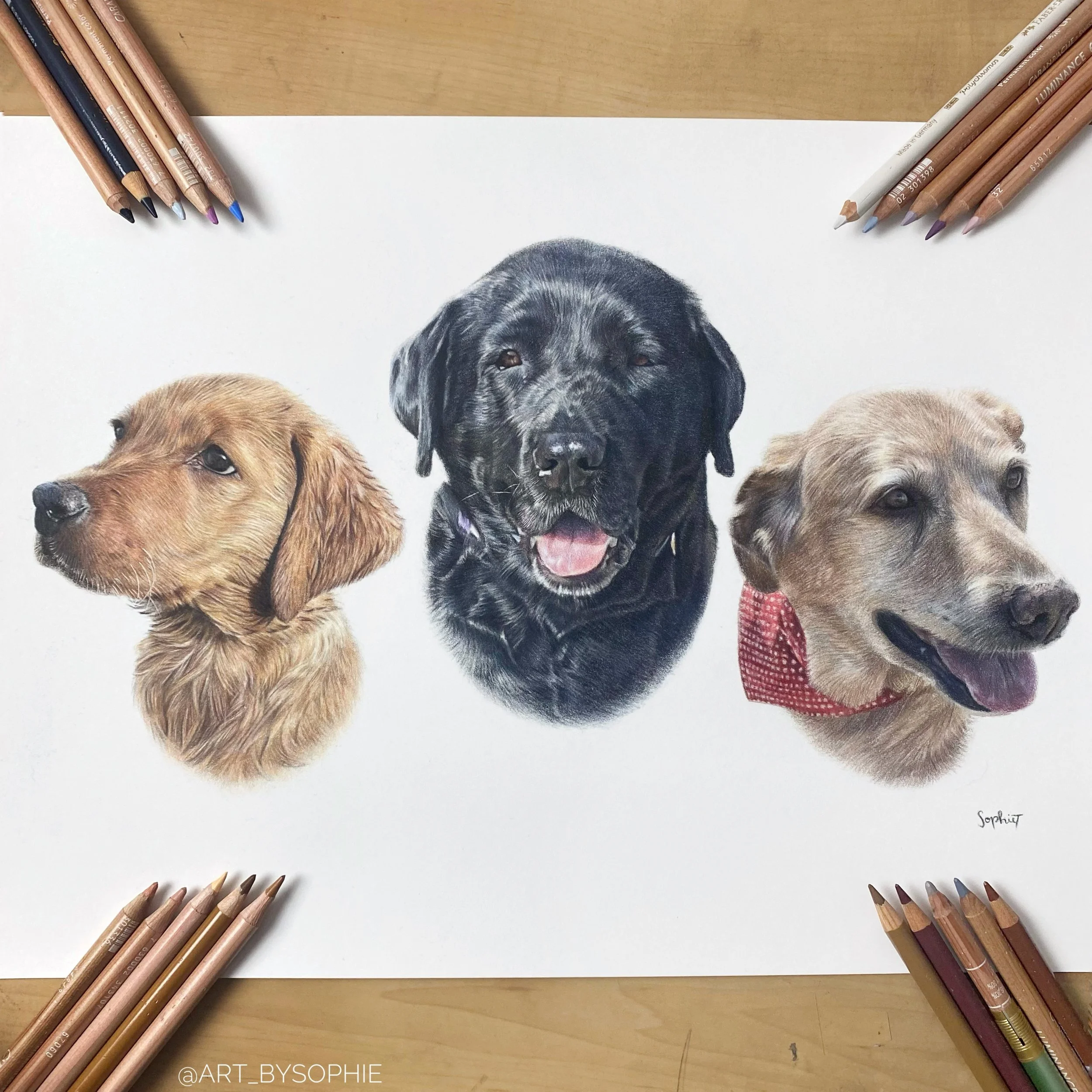 Incredibly Realistic Dog Pet Portraits from Photos | Sophie Ella Fine ...