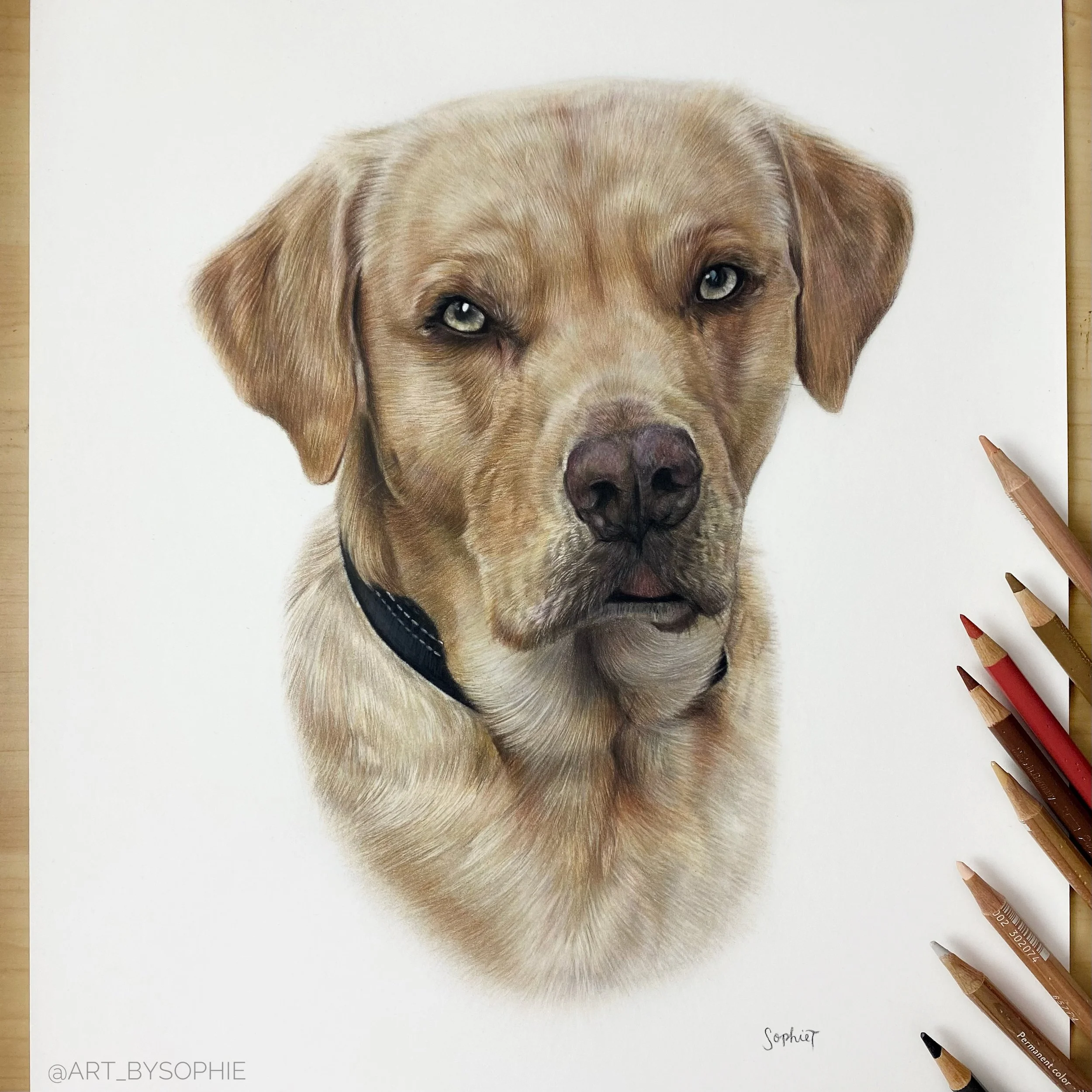 Incredibly Realistic Dog Pet Portraits from Photos | Sophie Ella Fine ...