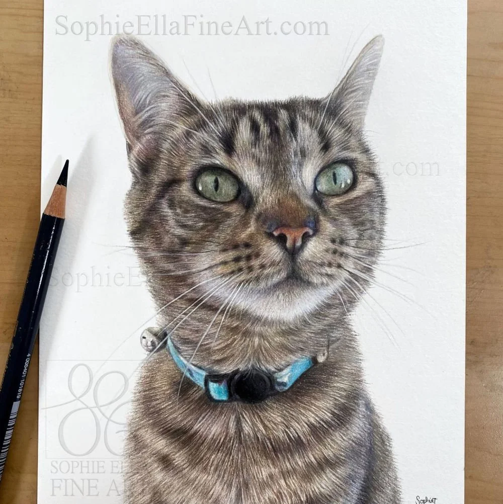 Incredibly Realistic Cat Pet Portraits from Photos | Sophie Ella Fine ...