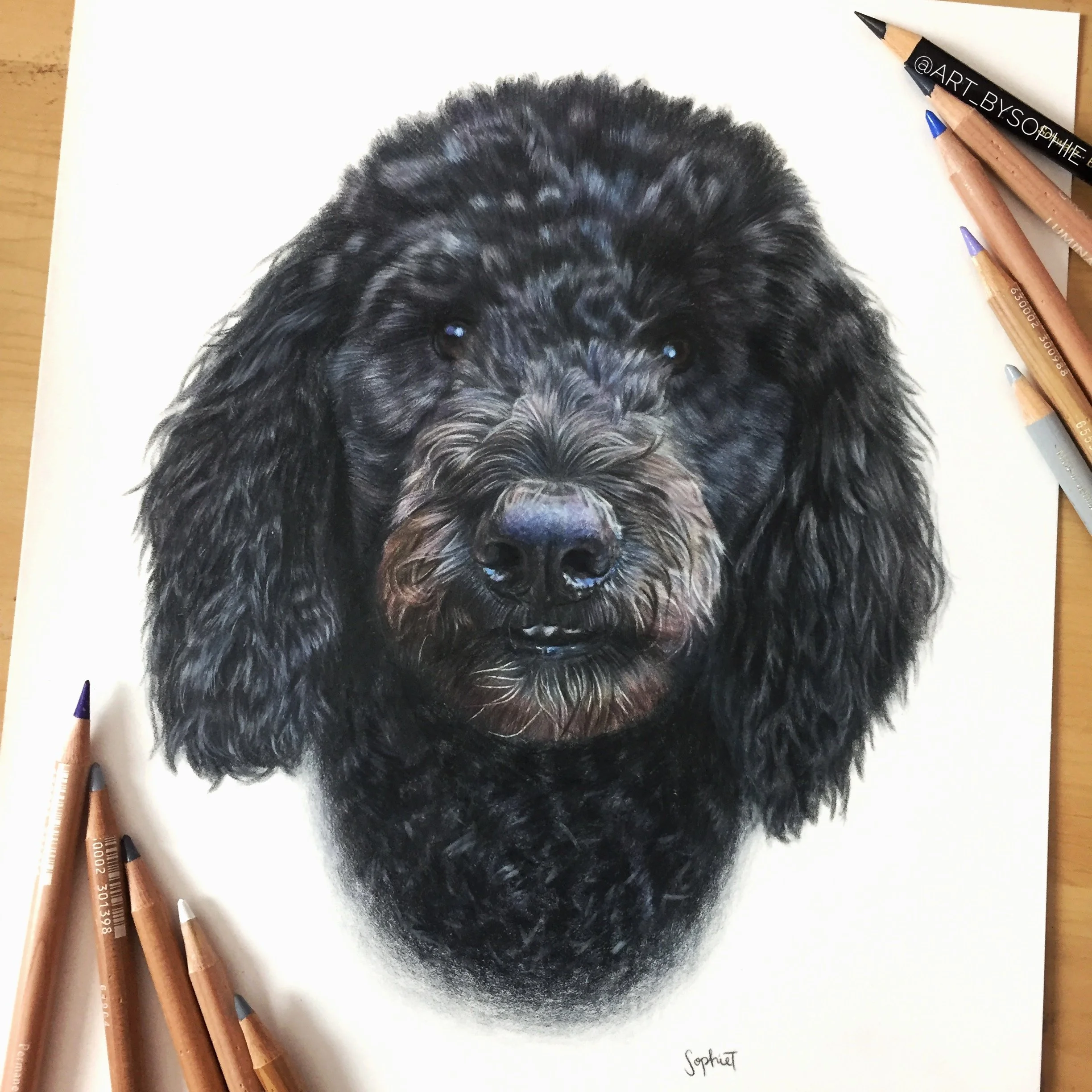 Incredibly Realistic Dog Pet Portraits from Photos | Sophie Ella Fine ...