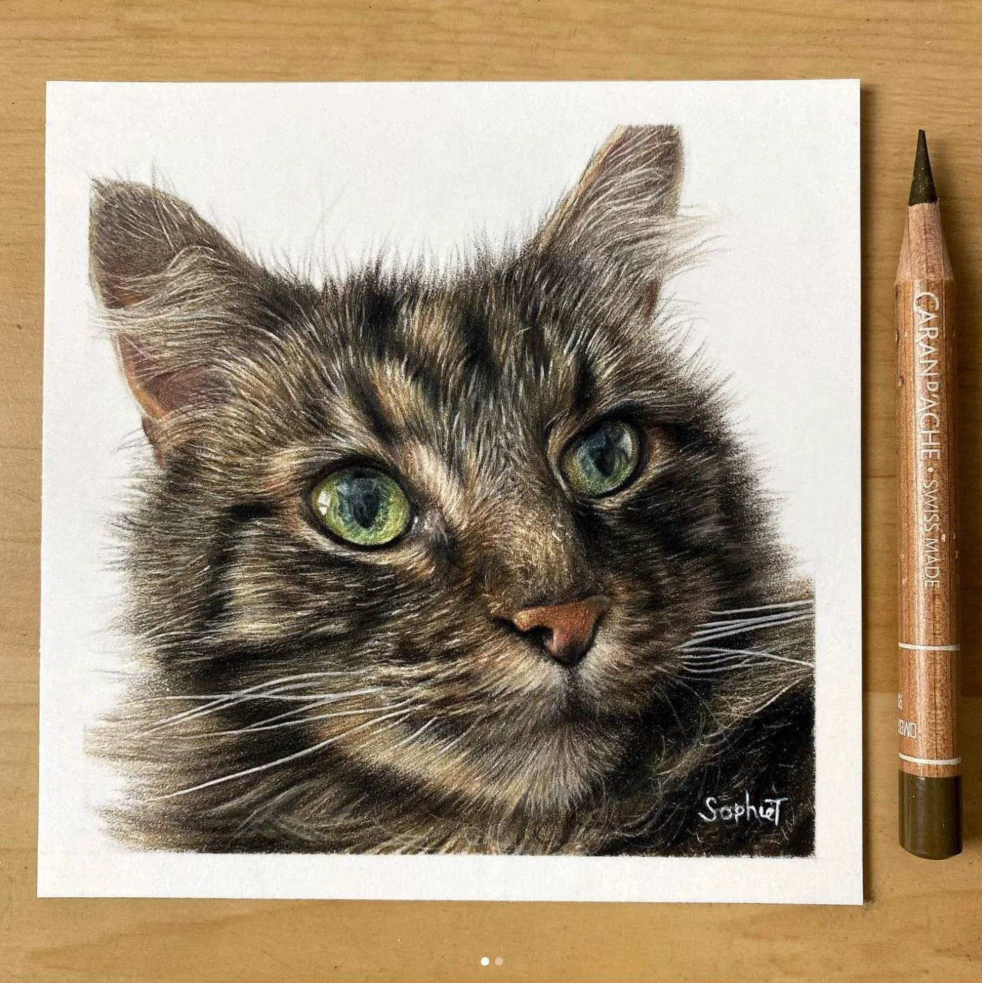 Incredibly Realistic Cat Pet Portraits from Photos | Sophie Ella Fine ...