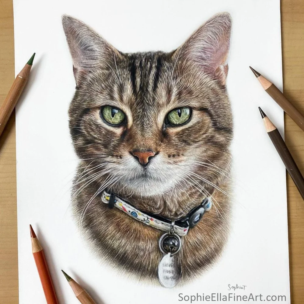 Incredibly Realistic Cat Pet Portraits from Photos | Sophie Ella Fine ...