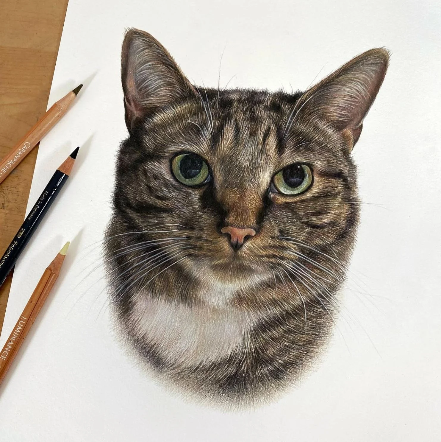 Incredibly Realistic Cat Pet Portraits from Photos | Sophie Ella Fine ...
