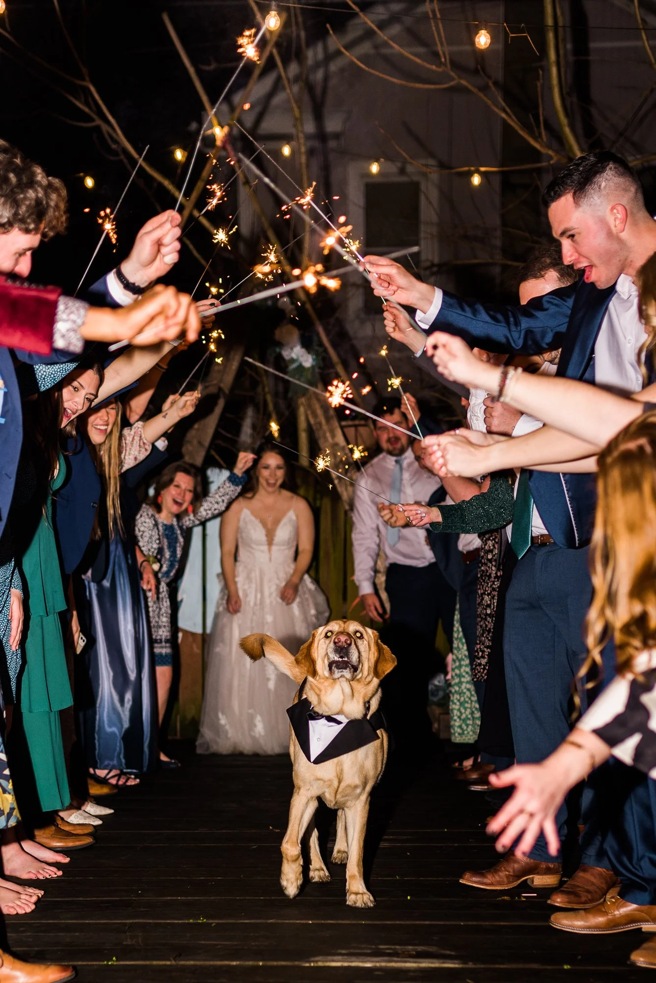 A Baltimore Love Story: Taylor and Kirk's Intimate Wedding at Blue Pit ...