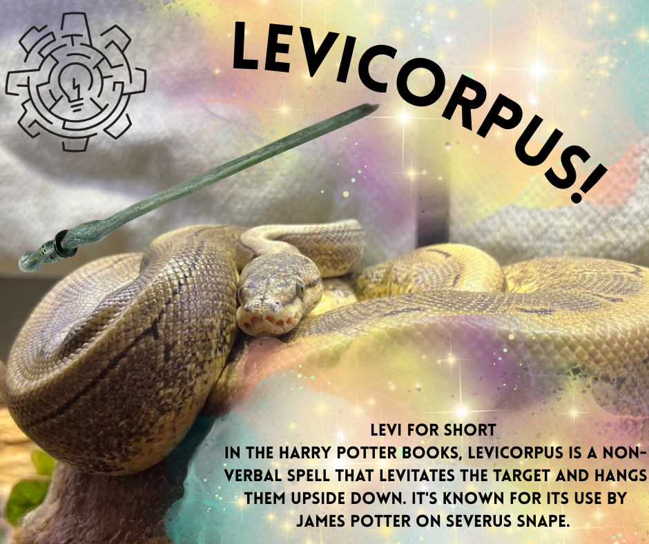 Animal Ambassadors — COGNiTiON Science & Discovery Center | 501(c)(3 ...