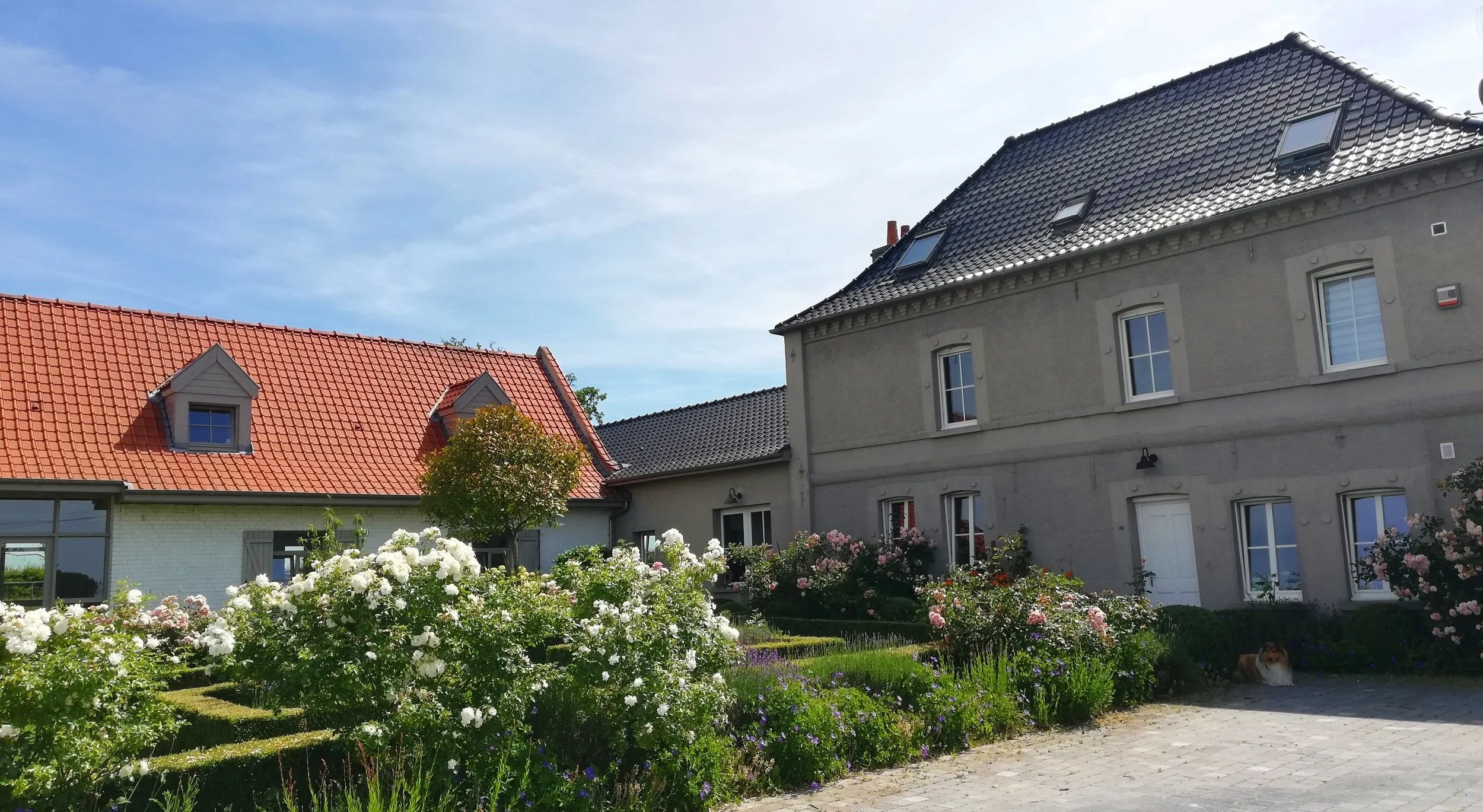 Logis du Nouveau Monde Chambre d'hôtes