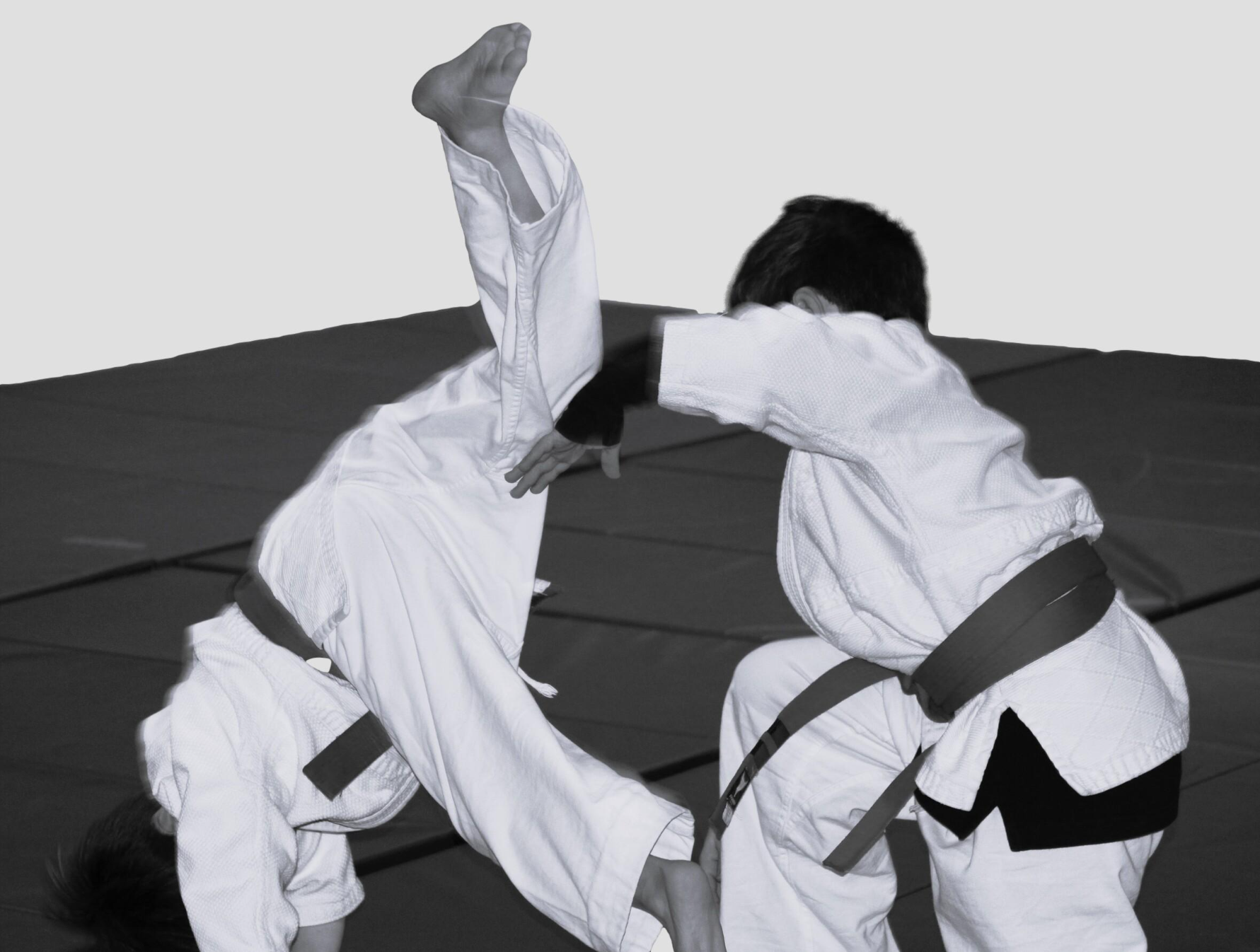 DELAWARE HAPKIDO MARTIAL ARTS ACADEMY