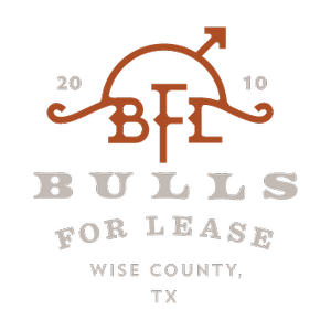 Bulls for Lease