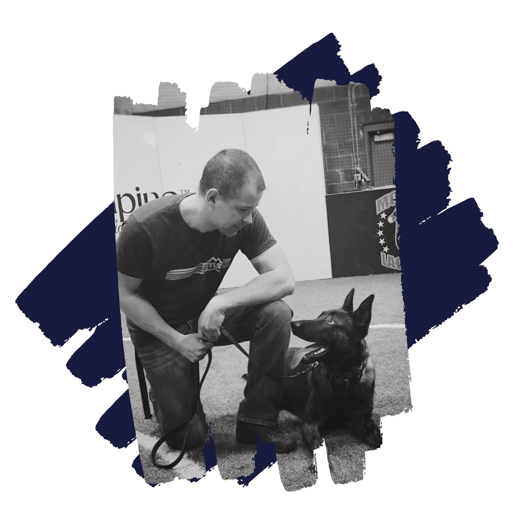 Services — Blue Dog K9 Training - Professional Dog Training in Missoula ...