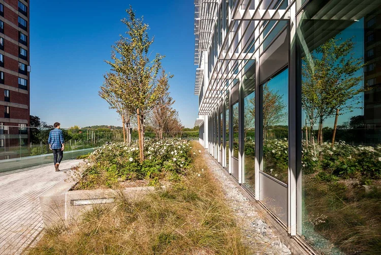 Hale Building for Transformative Medicine — Klopfer Martin Design Group