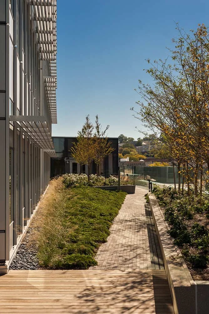 Hale Building for Transformative Medicine — Klopfer Martin Design Group