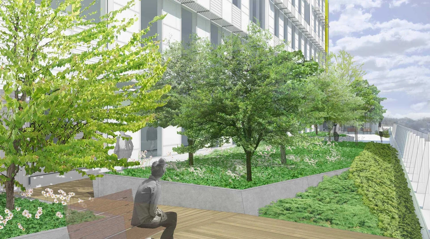 BWH | Landscape Vision Plan — Klopfer Martin Design Group