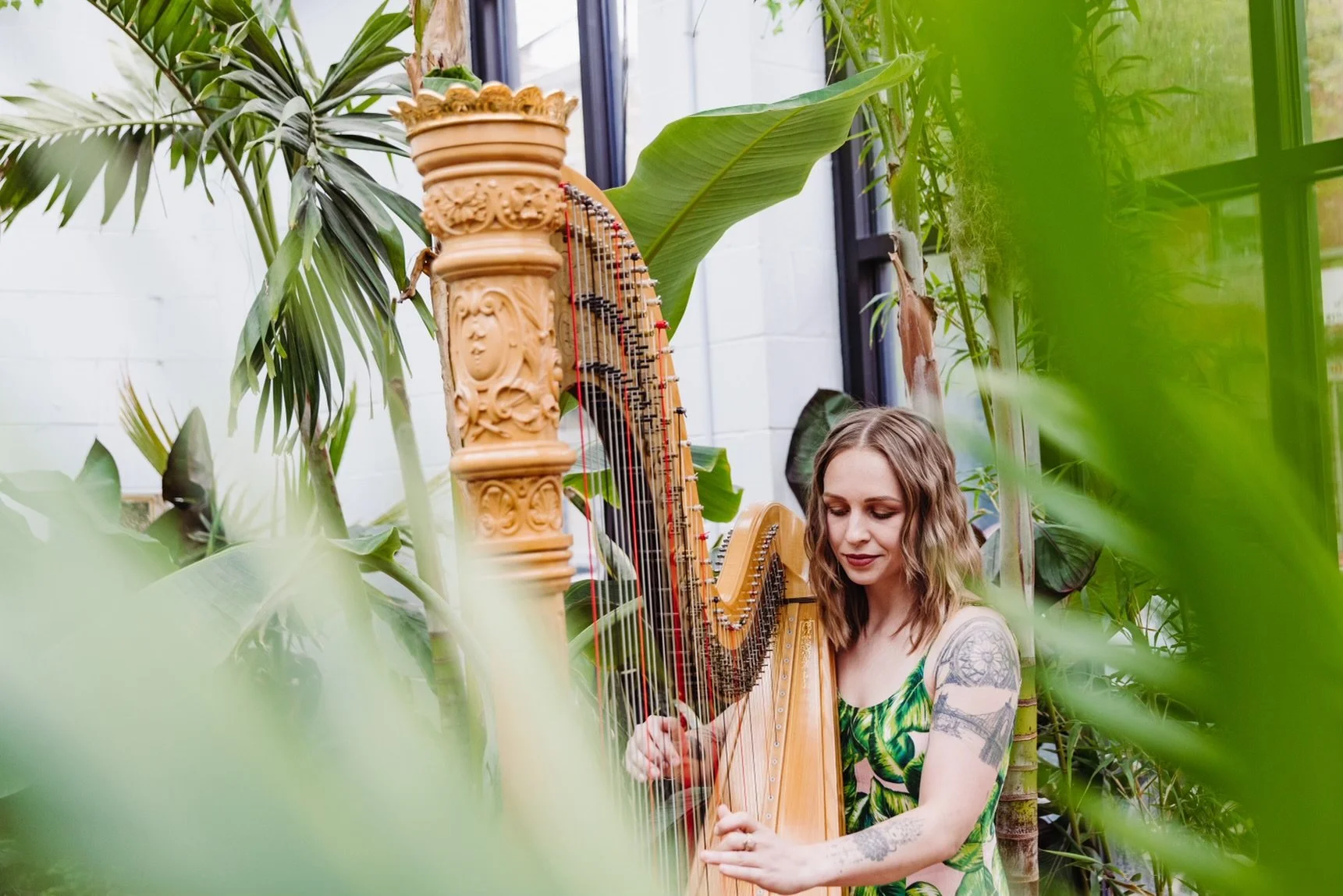 Harpist | Victoria Lekson | Amplified Harp Cincinnati