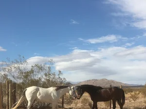 Mountain View Ranch Joshua Tree, LLC