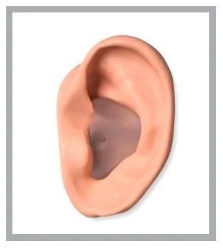 What is a Hocks Noise Braker®? — Hocks Hearing Healthcare Products