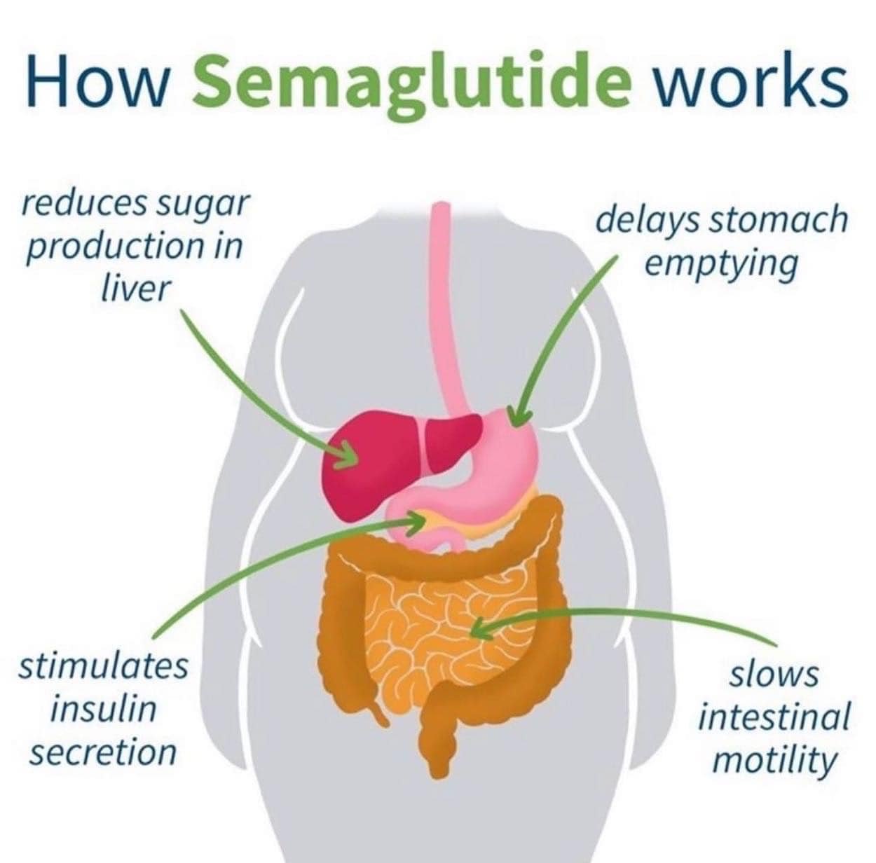 Comprehensive Aesthetic & Wellness Services | Weight Loss, Hormone ...