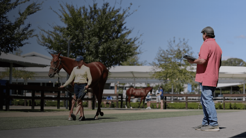 About Us — Richard & Will Freedman Training