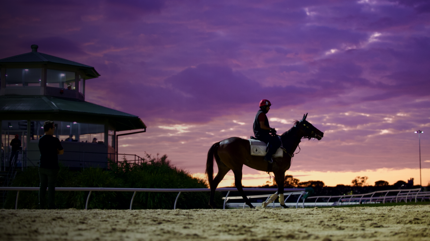 Richard & Will Freedman Training